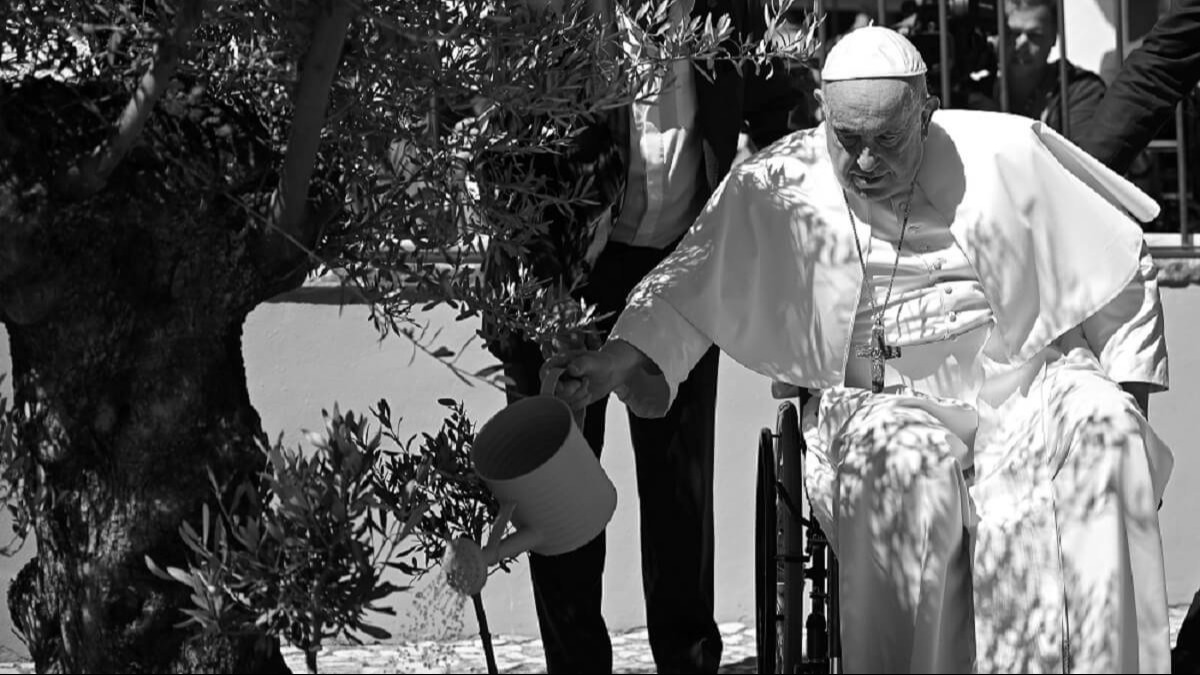 Hope and Act with Creation – Contemplative in the Mud